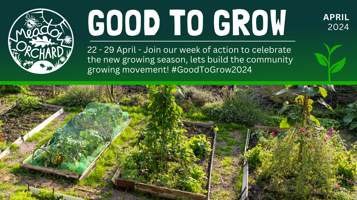 #GoodToGrow2024 – Meadow Orchard Project
