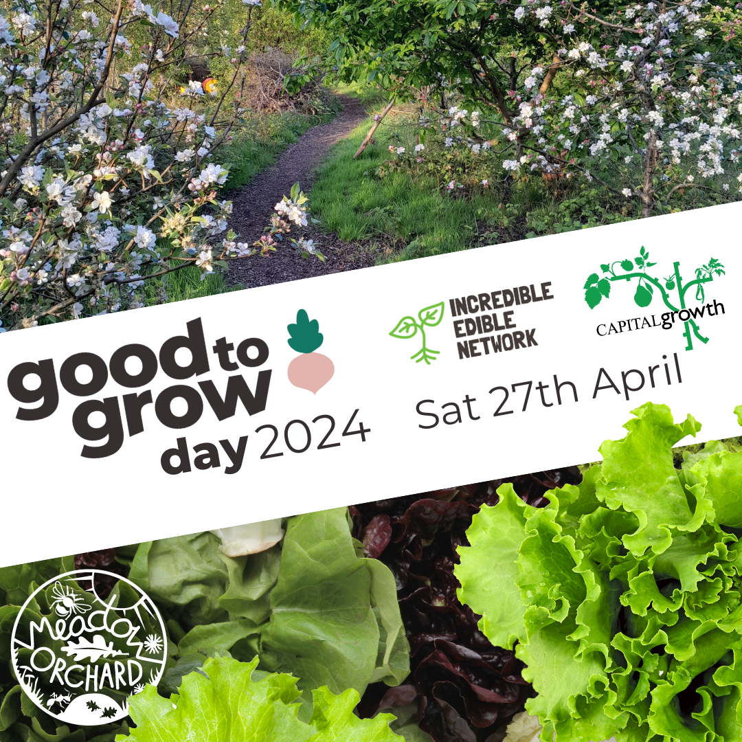 Good to Grow Day 2024 – Meadow Orchard Project