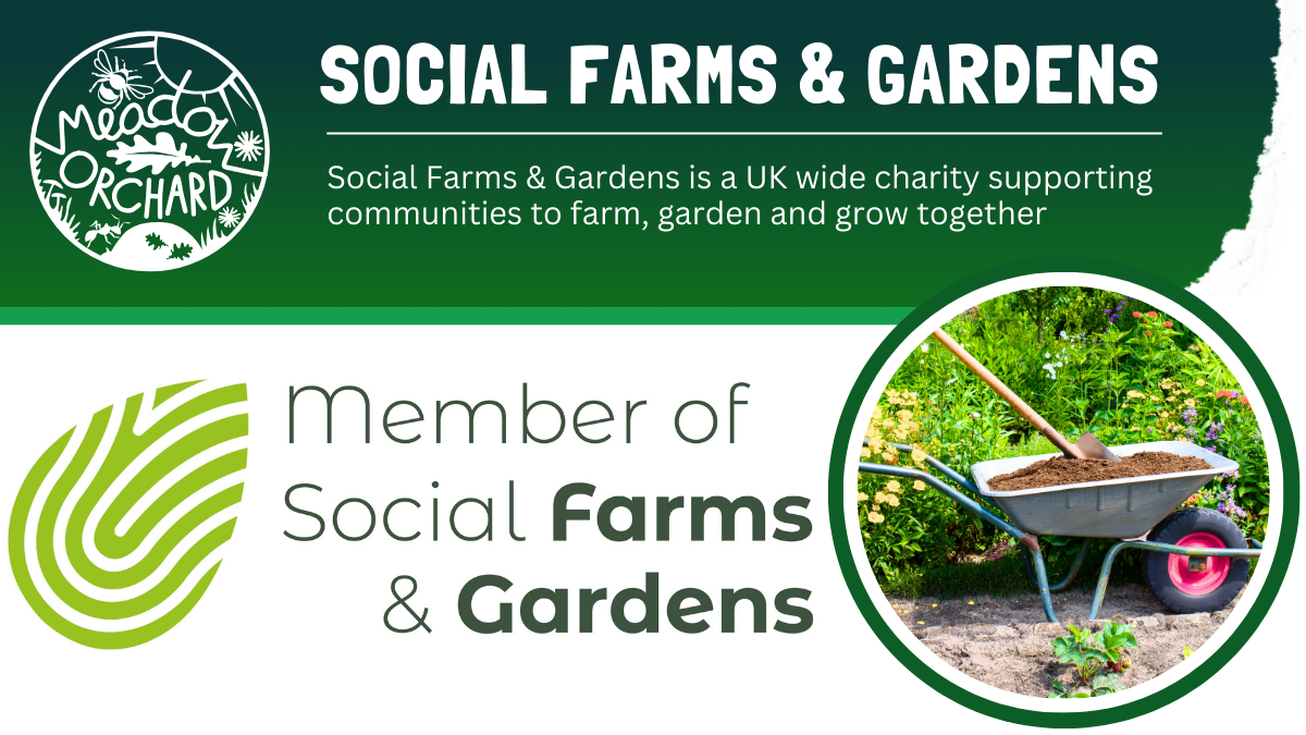 Social Farms & Gardens – Meadow Orchard Project