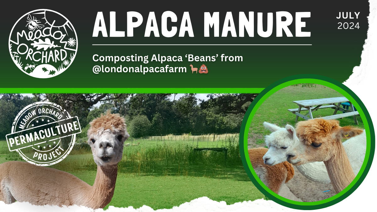 Alpaca Manure – Meadow Orchard Project