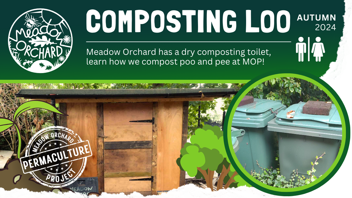 Composting loo – Meadow Orchard Project