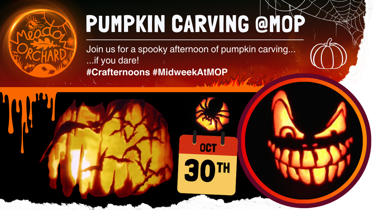 Pumpkin Carving @MOP – Meadow Orchard Project
