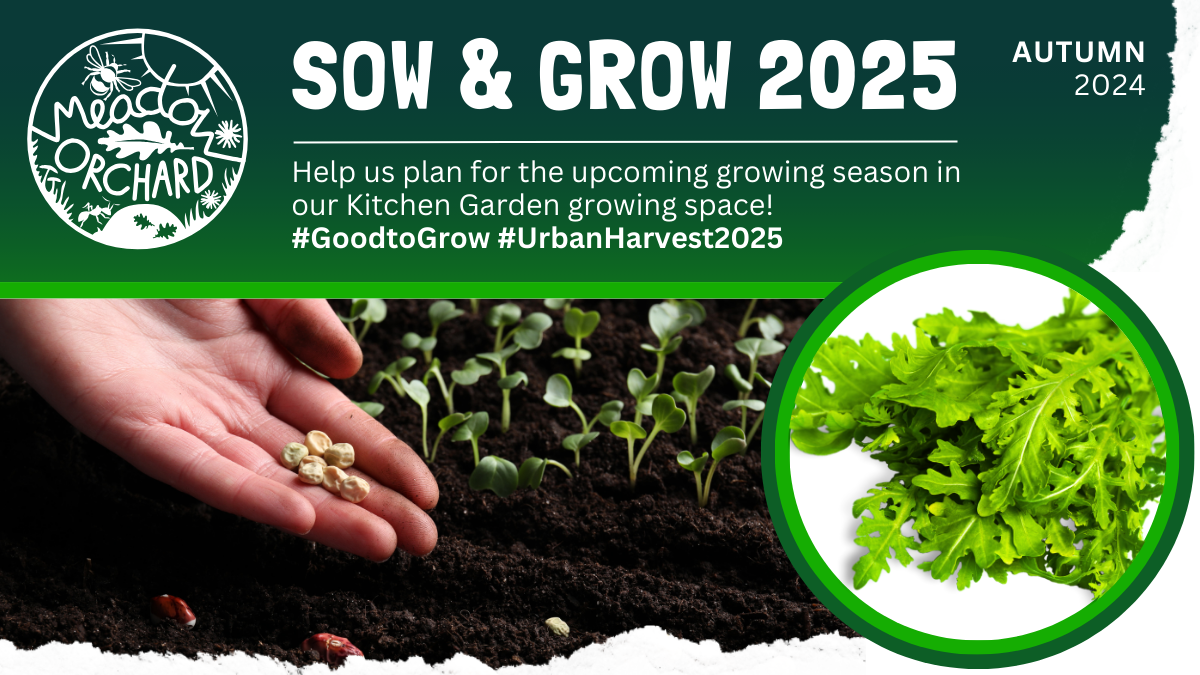 Sow & Grow 2025 – Meadow Orchard Project