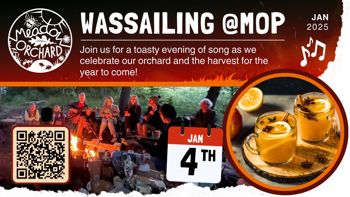 Wassailing: A Festive Tradition for a Bountiful Harvest – Meadow ...