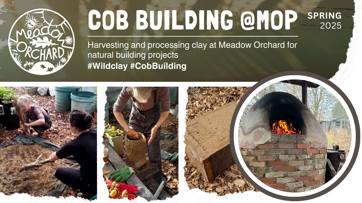 Cob Building: Sustainable Earth Homes – Meadow Orchard Project