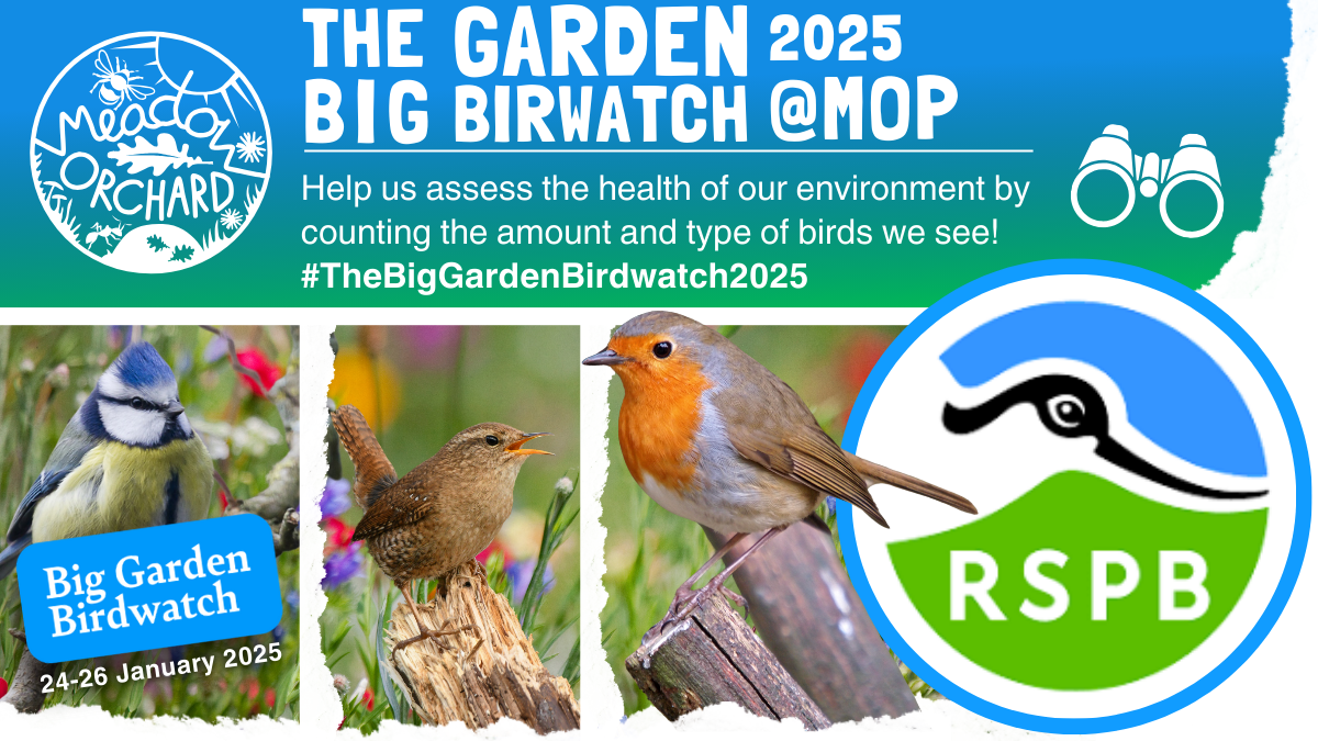 Big Garden Birdwatch 2025 – Meadow Orchard Project