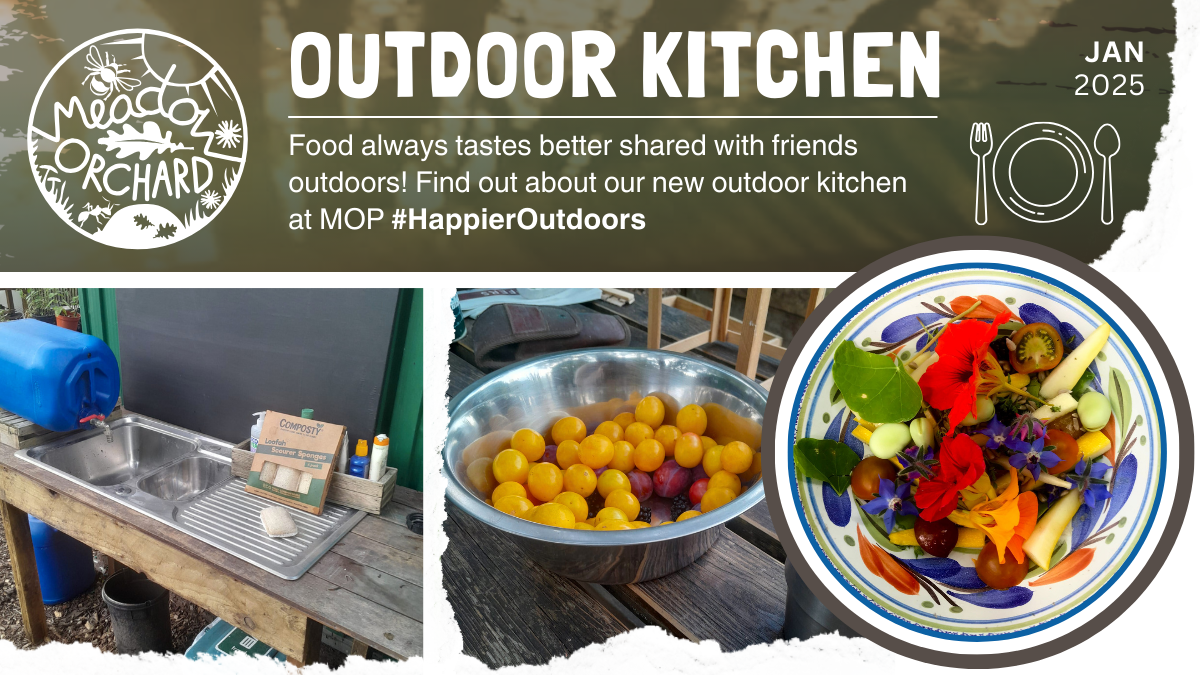 Off-Grid Kitchen: Solutions for Outdoor Cooking – Meadow Orchard Project