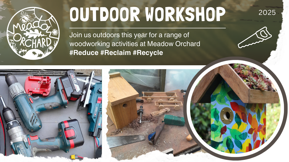 Outdoor Workshop: Creative Activities in Nature – Meadow Orchard Project