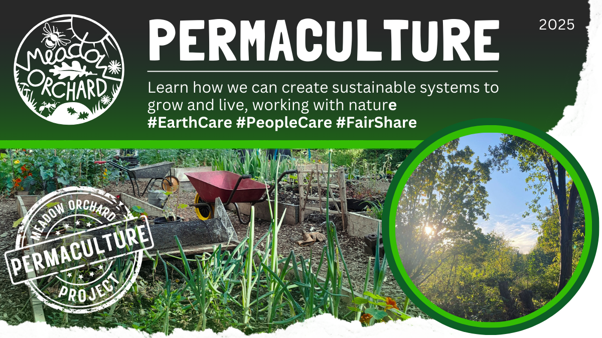 Understanding Permaculture: Sustainable Growing Practices – Meadow ...