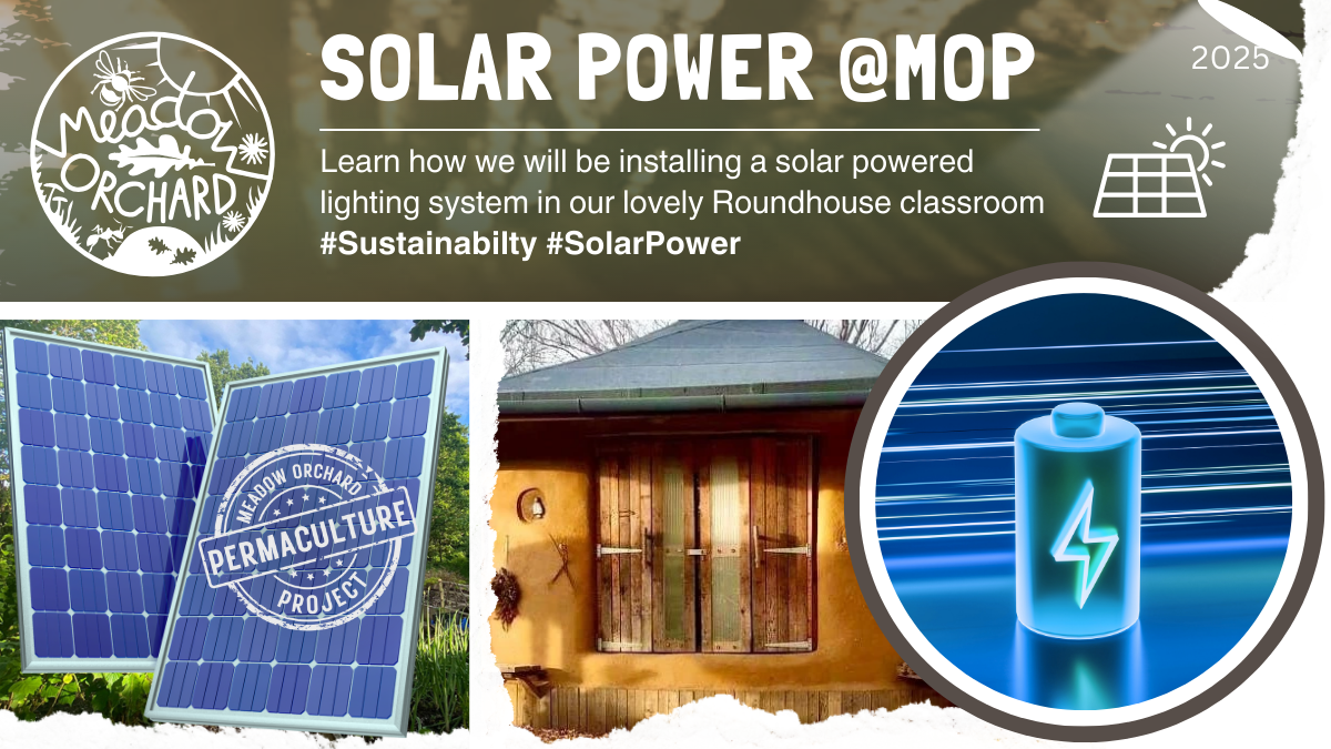 Harnessing Solar Power: Green Energy – Meadow Orchard Project